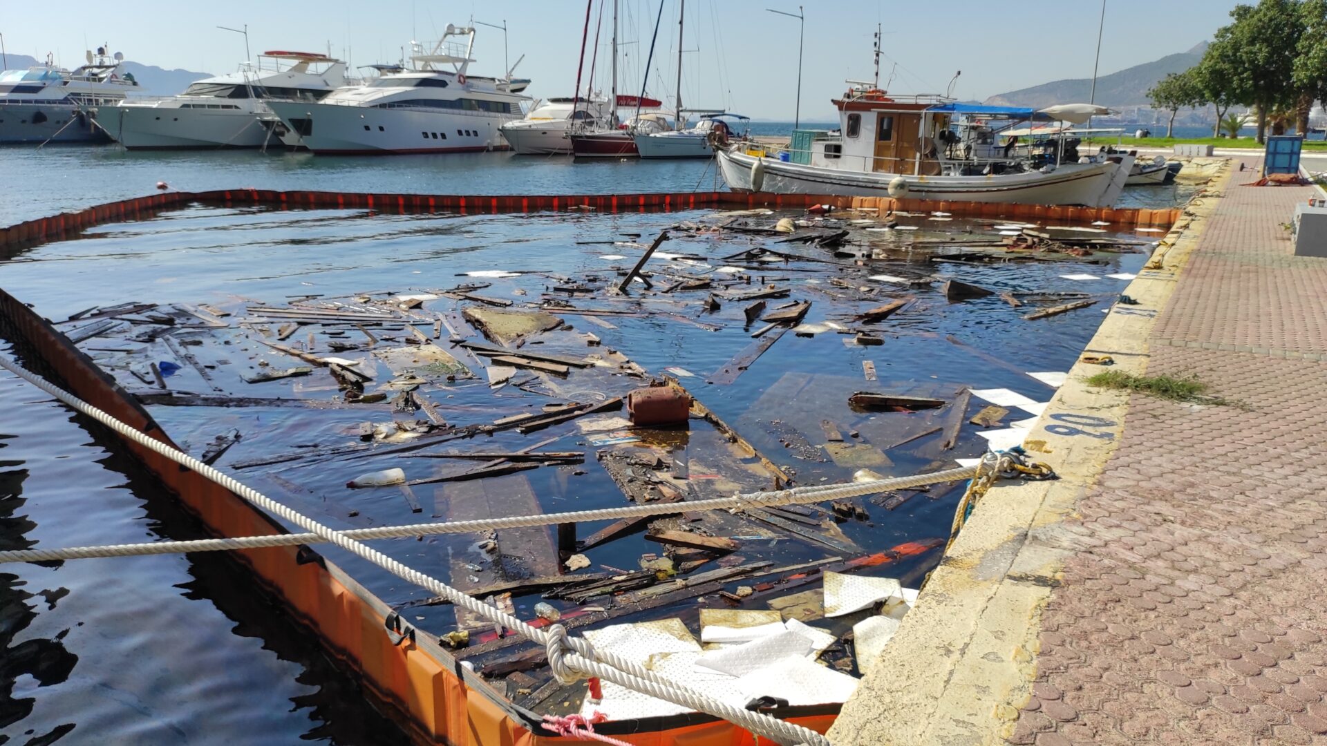 Αποκρουστικές εικόνες στο παλαιό λιμάνι της Ελευσίνας (ΒΙΝΤΕΟ ...